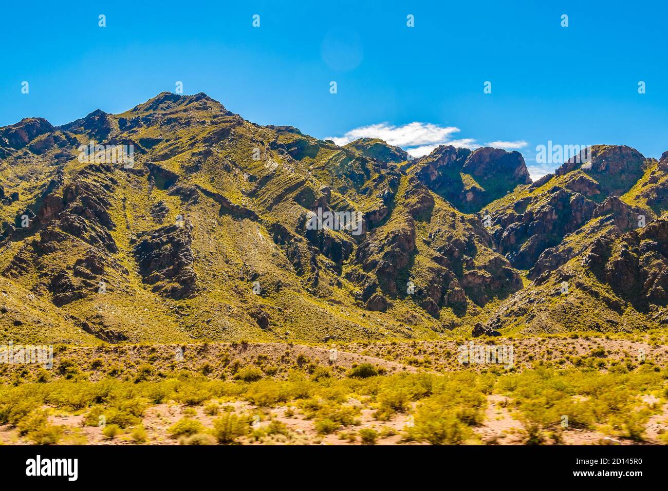 Beautiful puna andean landscape at brava lagoon reserve, la rioja ...