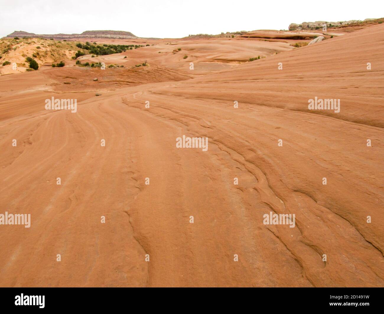 Crossbedding in the orange colored slickrock member of the Entrada ...