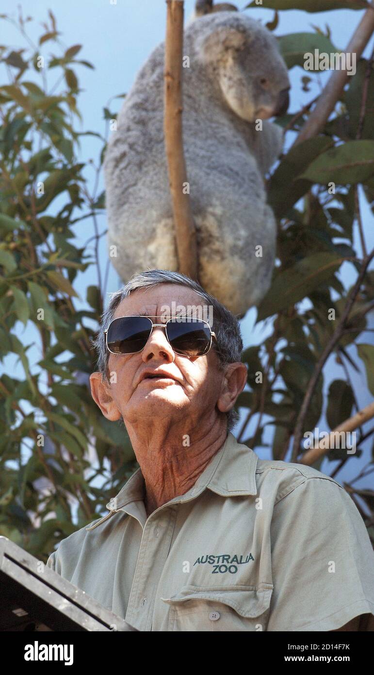 Bob Irwin The Crocodile Hunter High Resolution Stock Photography and ...