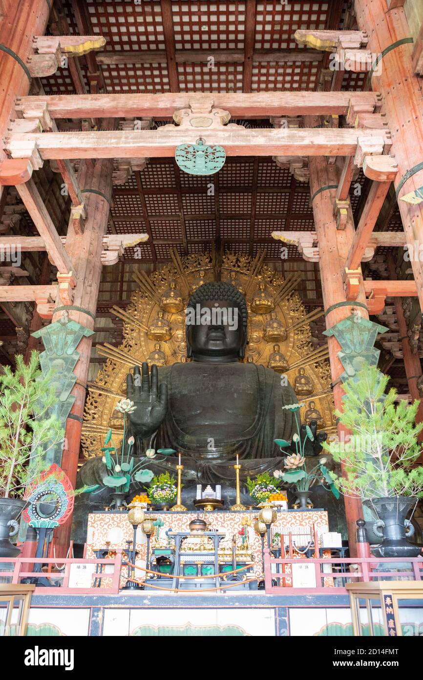The Great Buddha (Daibutsu) in the great hall, Tōdai-ji, Buddhist ...
