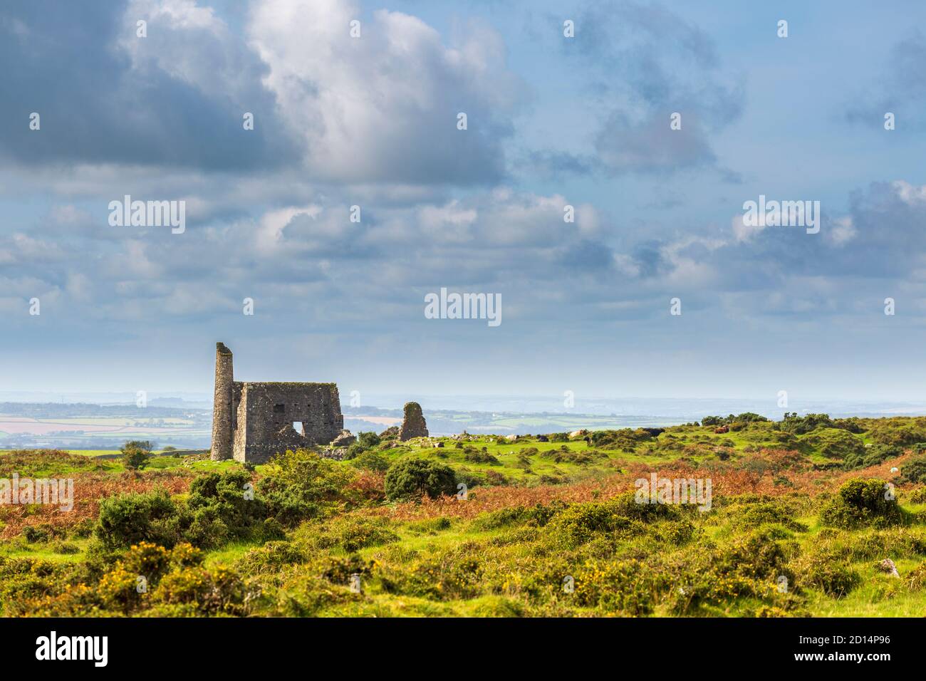 The derelict engine house of a Cornish Copper Mine at Minions on Bodmin ...