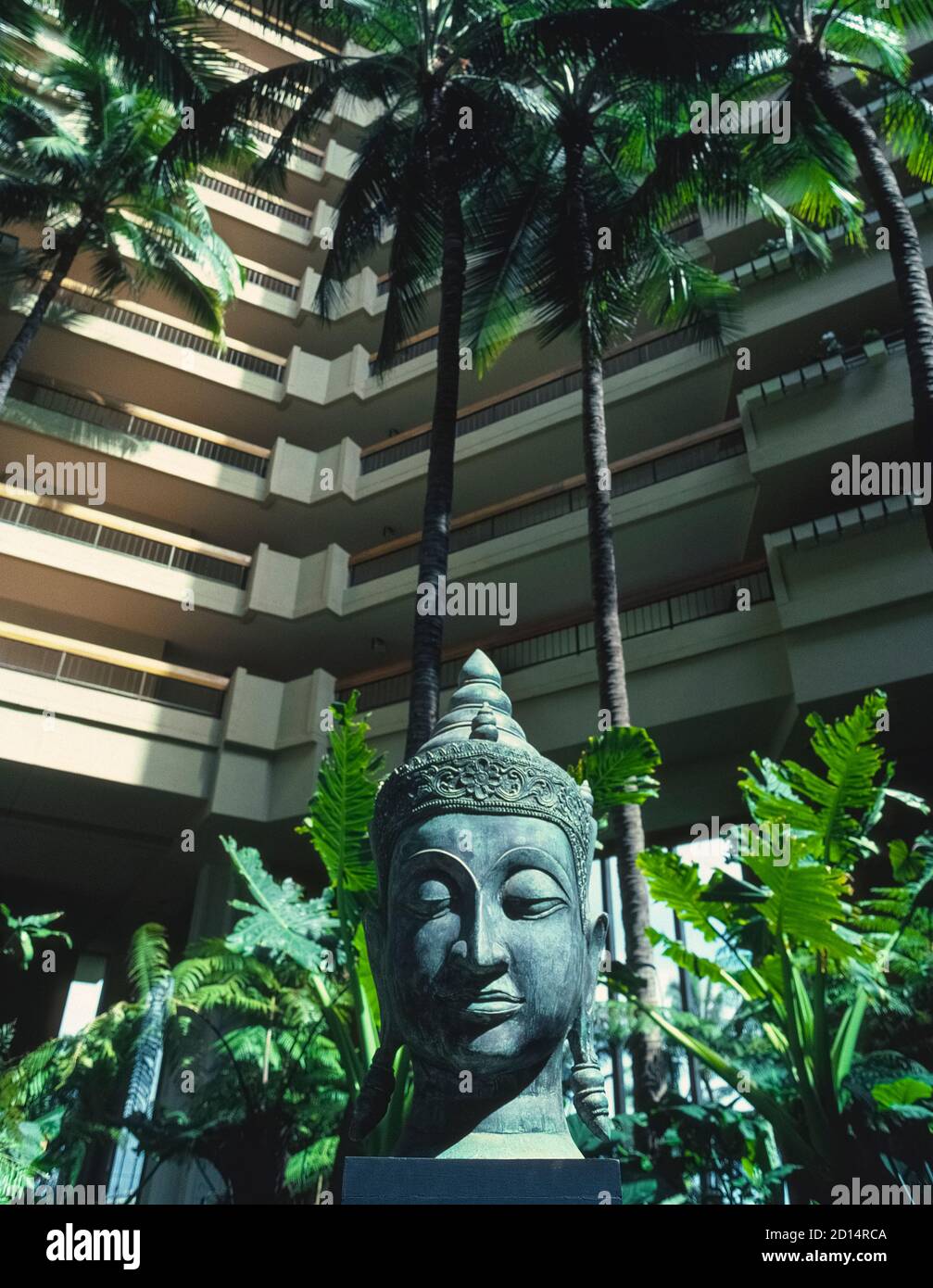 This large sculptured head of Buddha is an impressive artwork that ...