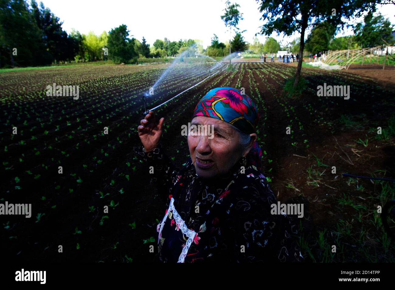 Mapuche indian chile hi-res stock photography and images - Alamy