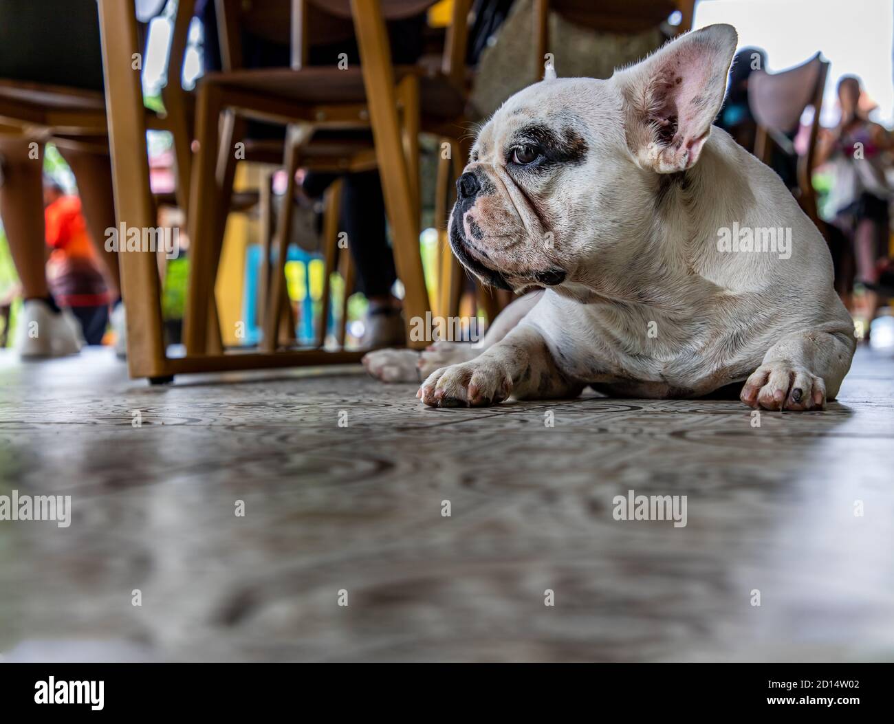 Side view cheeky hi-res stock photography and images - Alamy