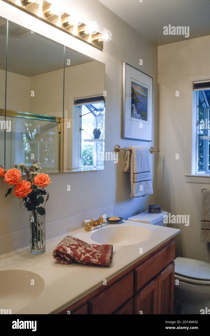 1990s Bathroom Interior, USA Stock Photo - Alamy