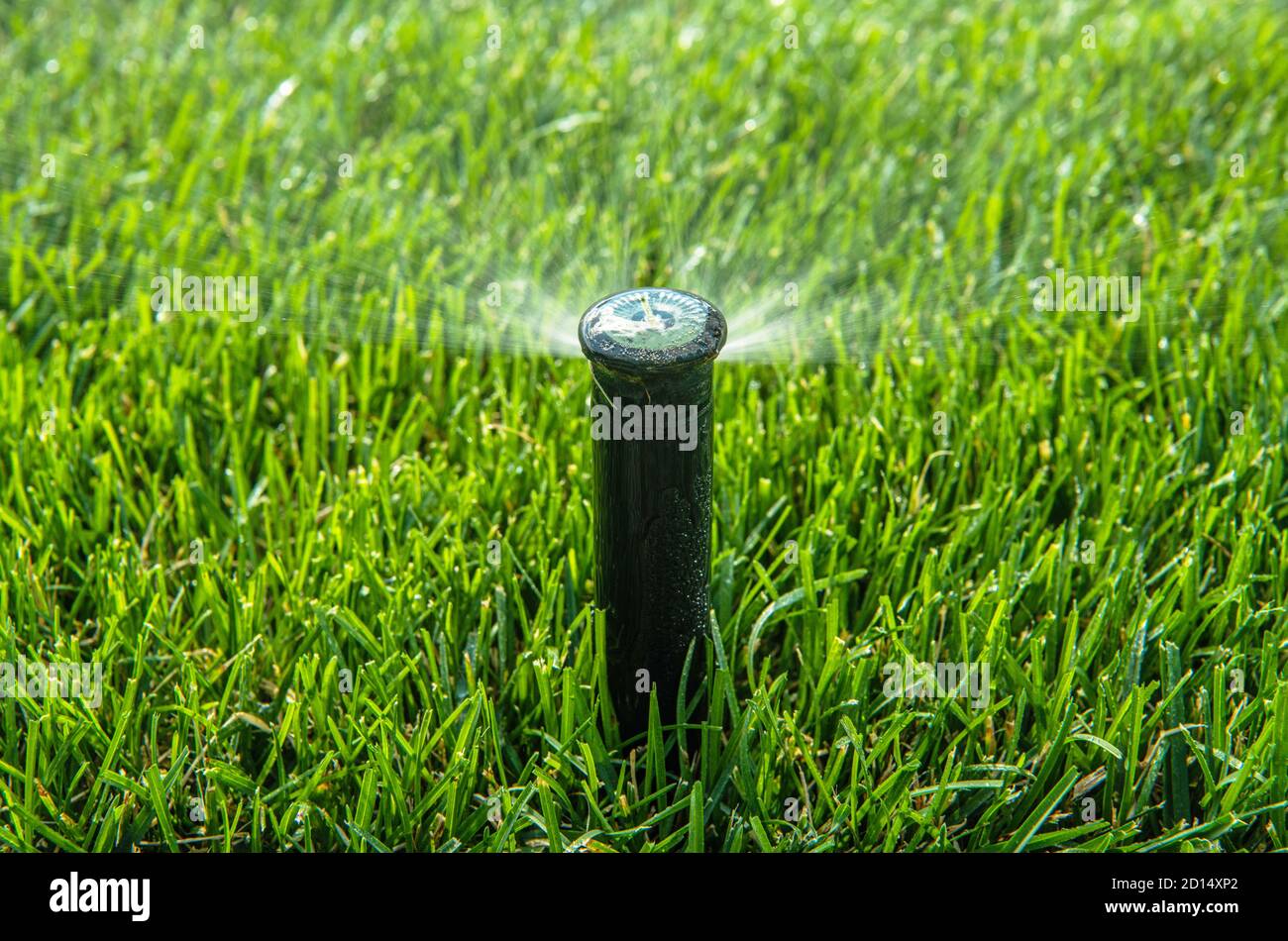 Garden Lawn Irrigation System Technologies. Automatic Pop Up Ground ...
