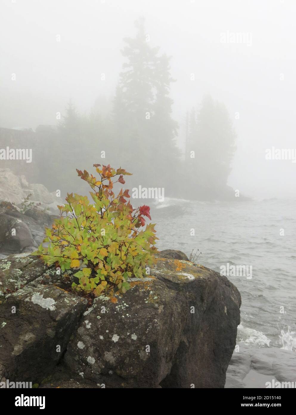 Hardy rocks hi-res stock photography and images - Alamy