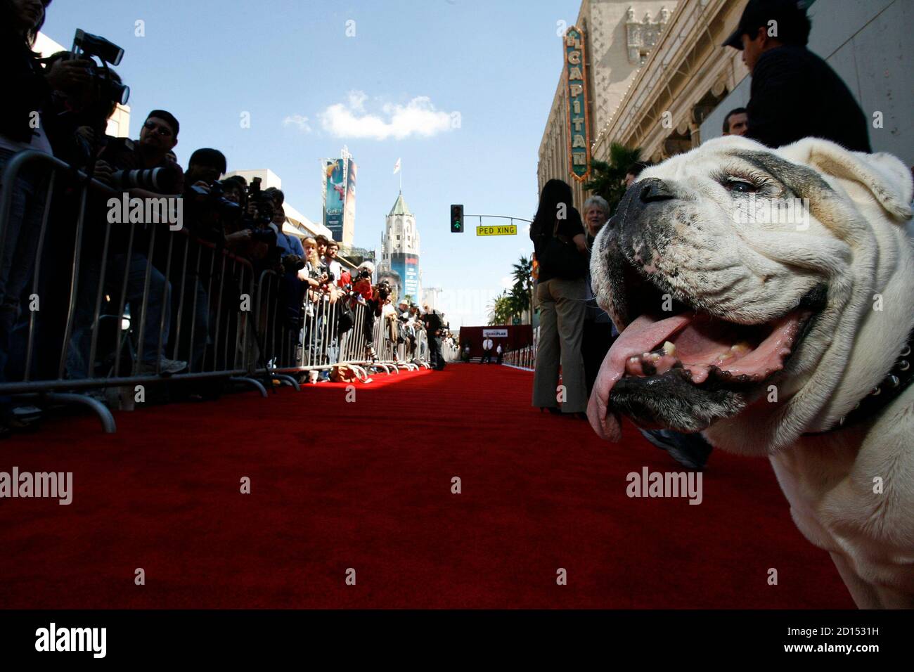 Premiere game plan hi-res stock photography and images - Alamy