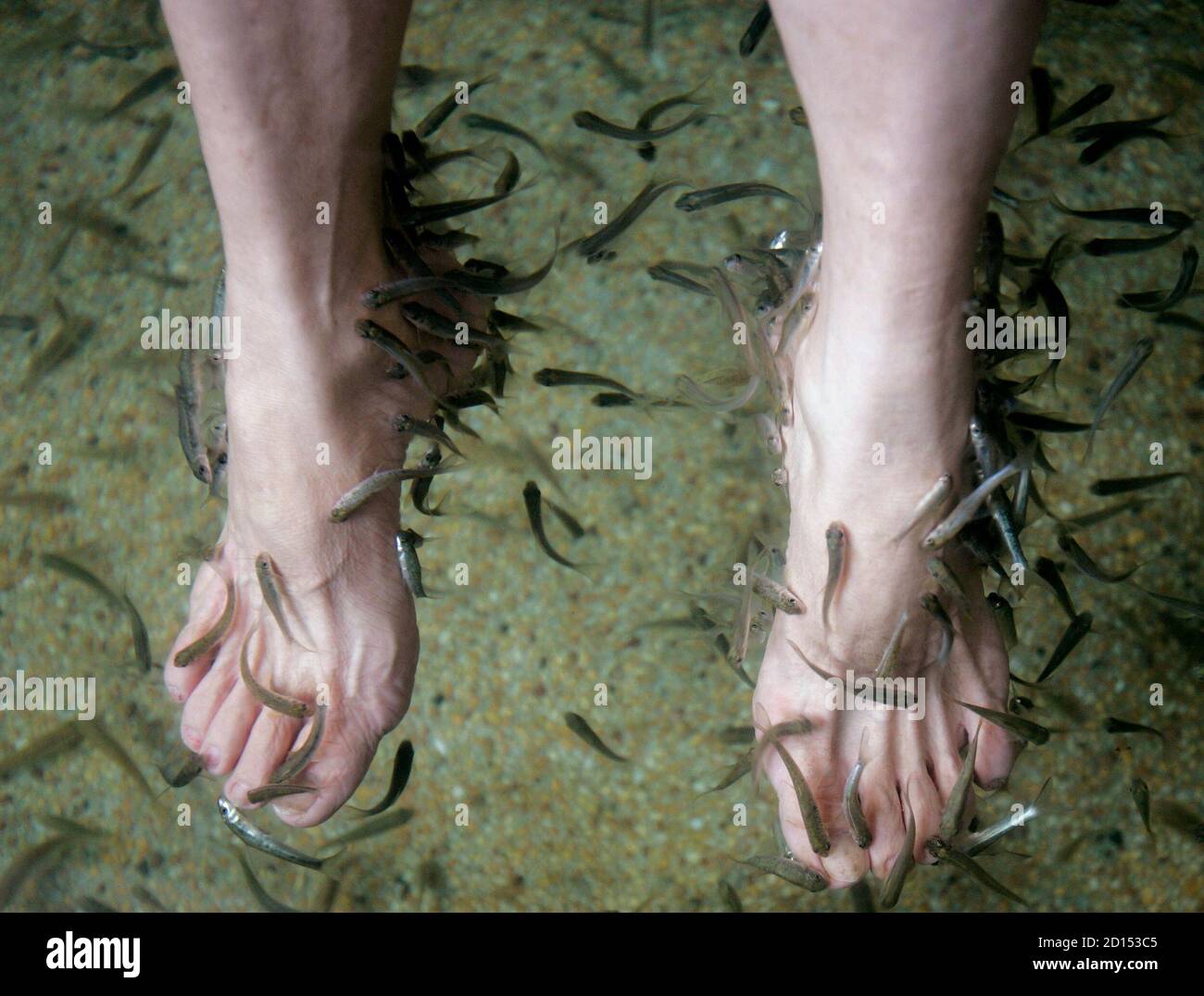 Fish feet singapore hi-res stock photography and images - Alamy
