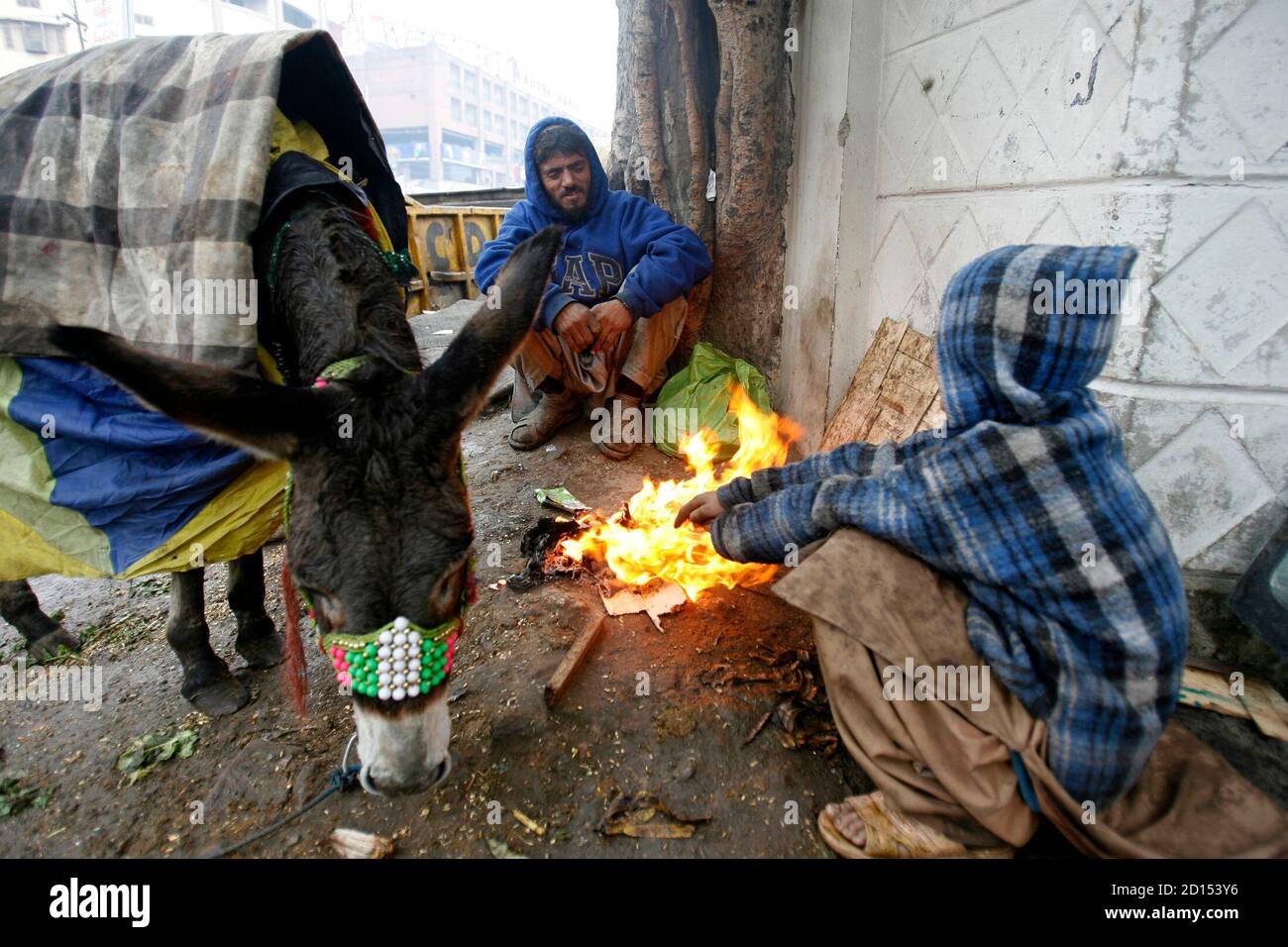 Donkey Fire High Resolution Stock Photography and Images - Alamy