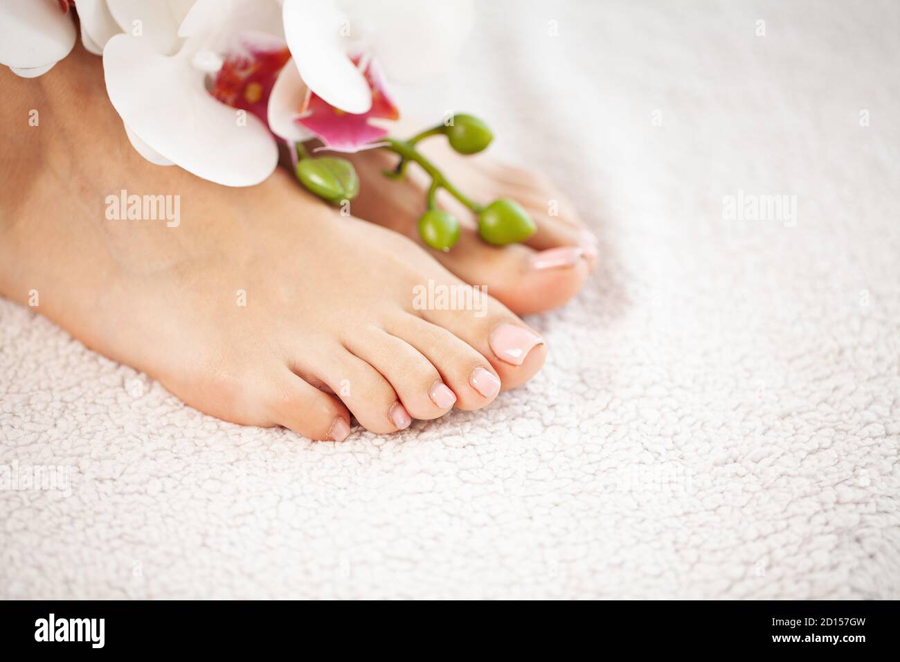 Long legs of a woman with a fresh manicure and orchid flowers Stock ...