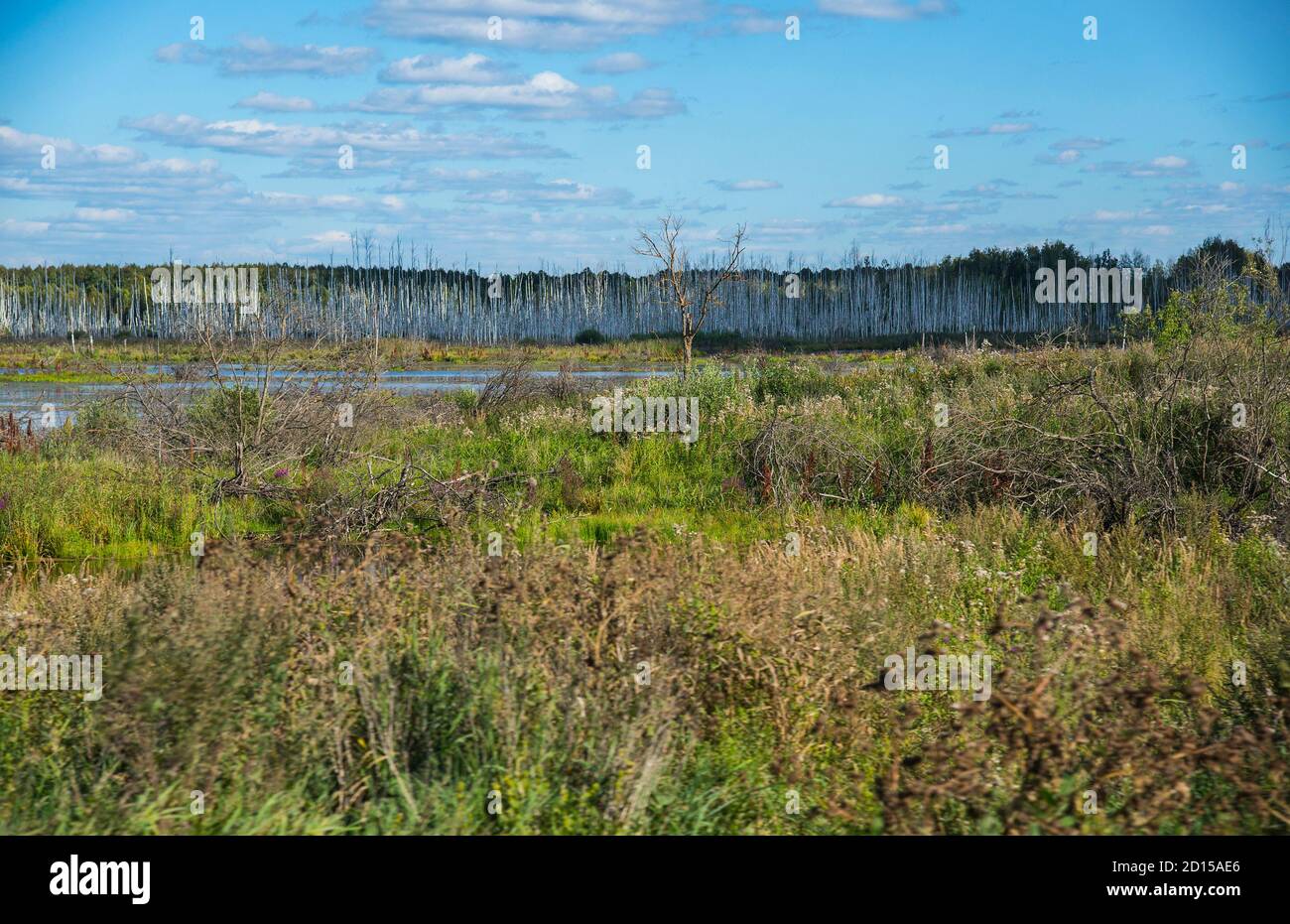Beautiful rural landscape midland hi-res stock photography and images ...