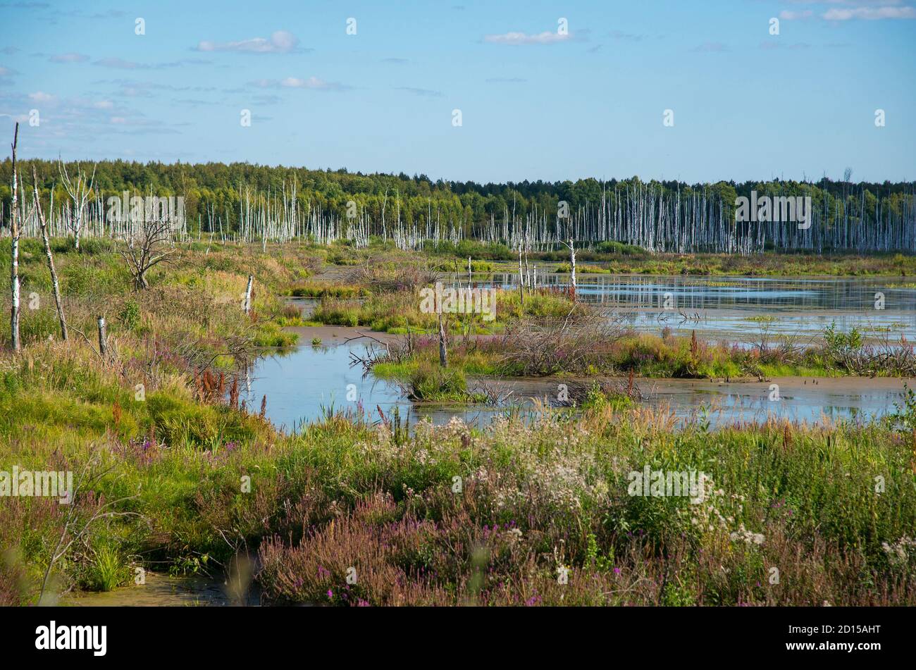 Beautiful rural landscape midland hi-res stock photography and images ...