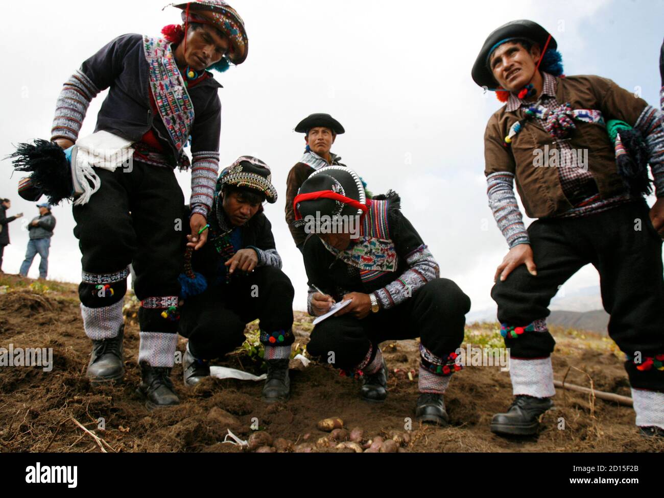 Native potato varieties peru hi-res stock photography and images - Alamy