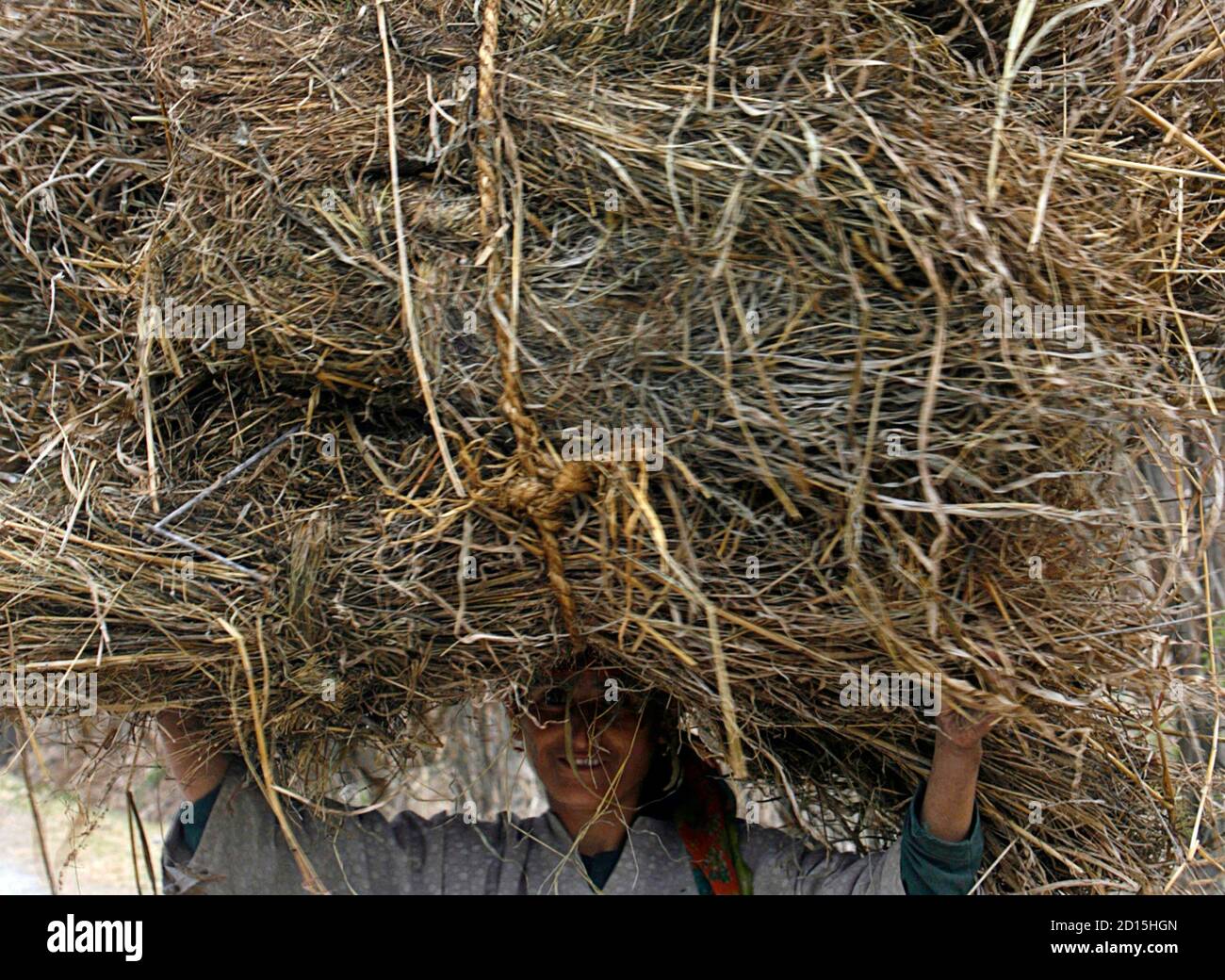Indian woman carrying bundle in hi-res stock photography and images - Alamy