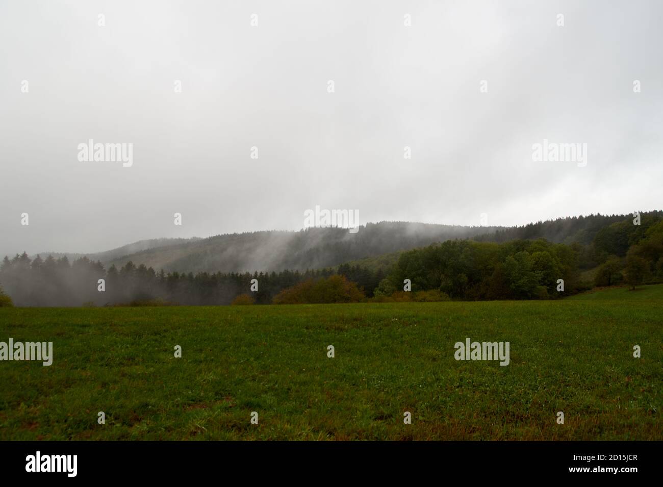 Fog moving through rain forest hi-res stock photography and images - Alamy