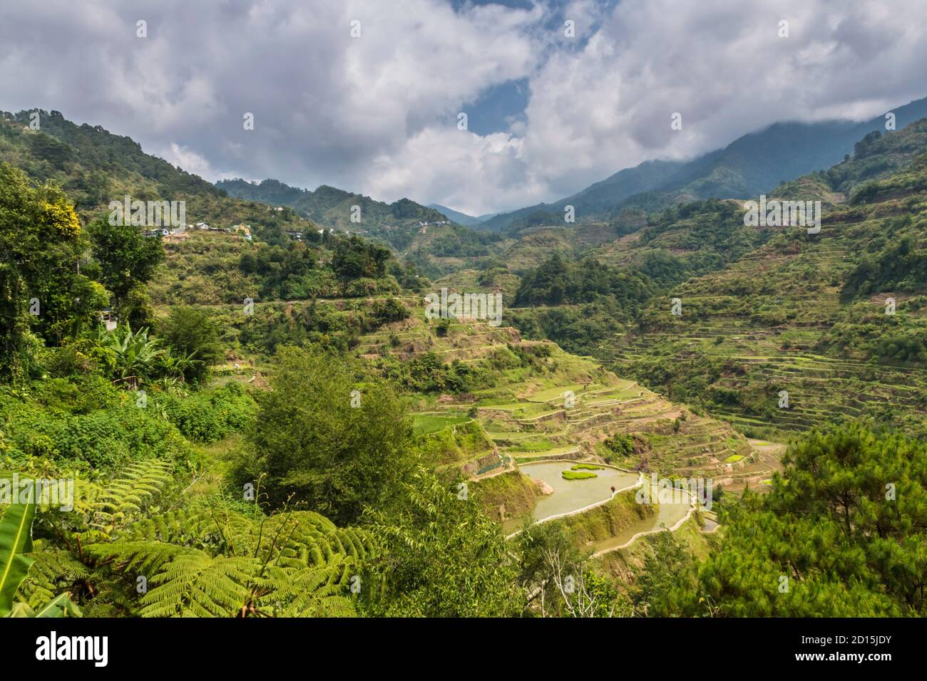 images of Batad and Banaue rice terraces in the Philippines Stock Photo ...