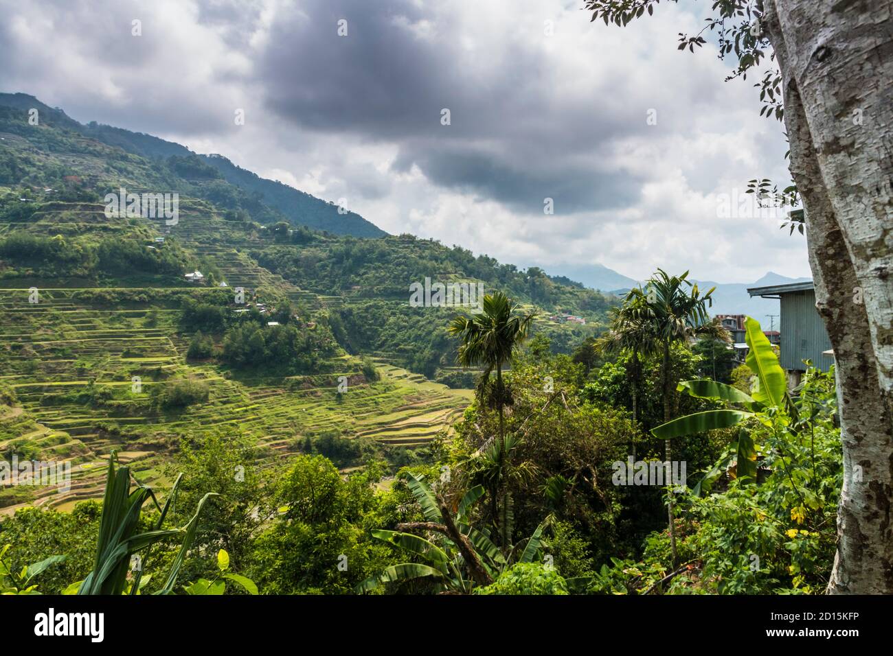 images of Batad and Banaue rice terraces in the Philippines Stock Photo ...