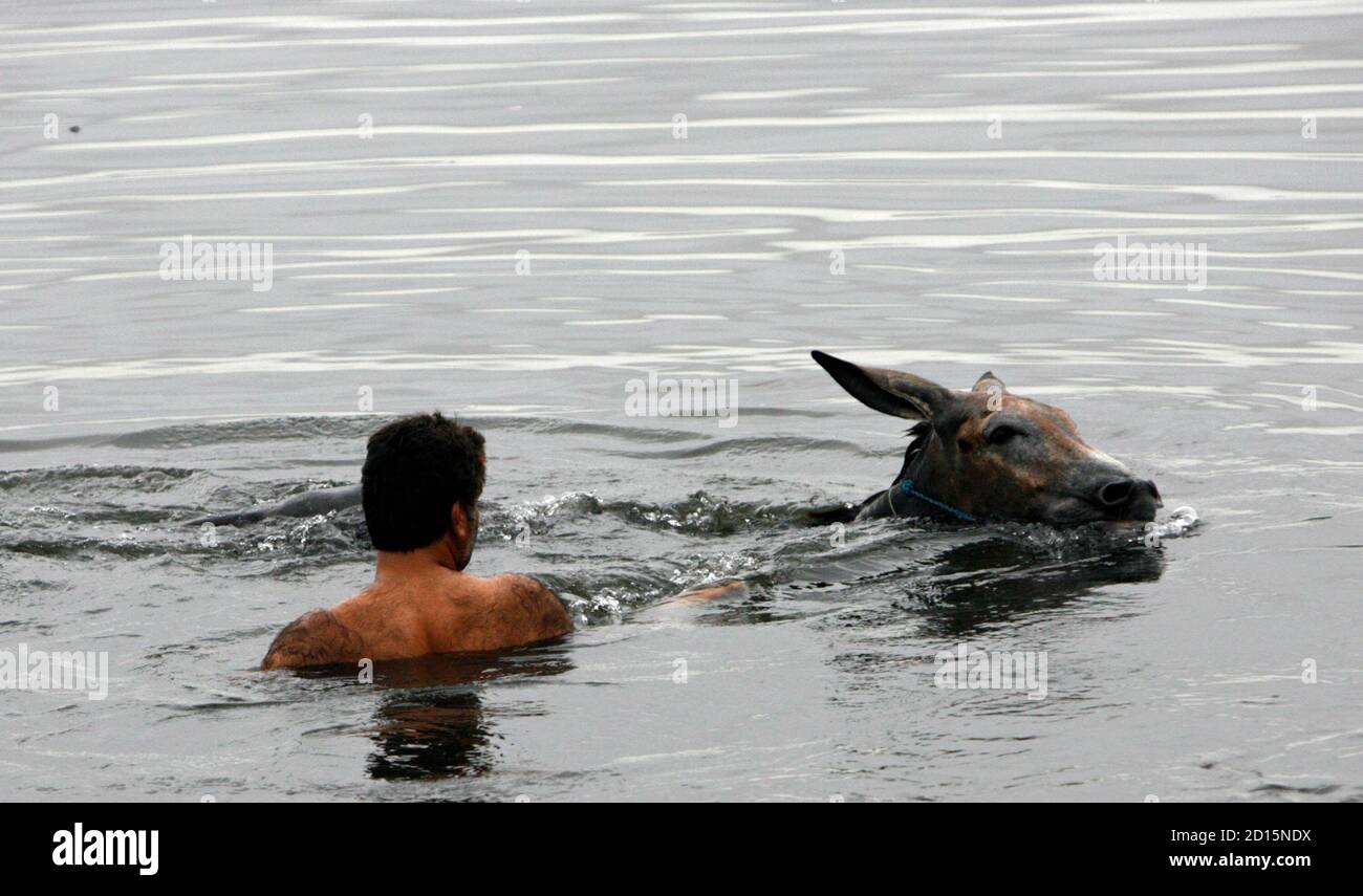 Go for a dip hi-res stock photography and images - Alamy
