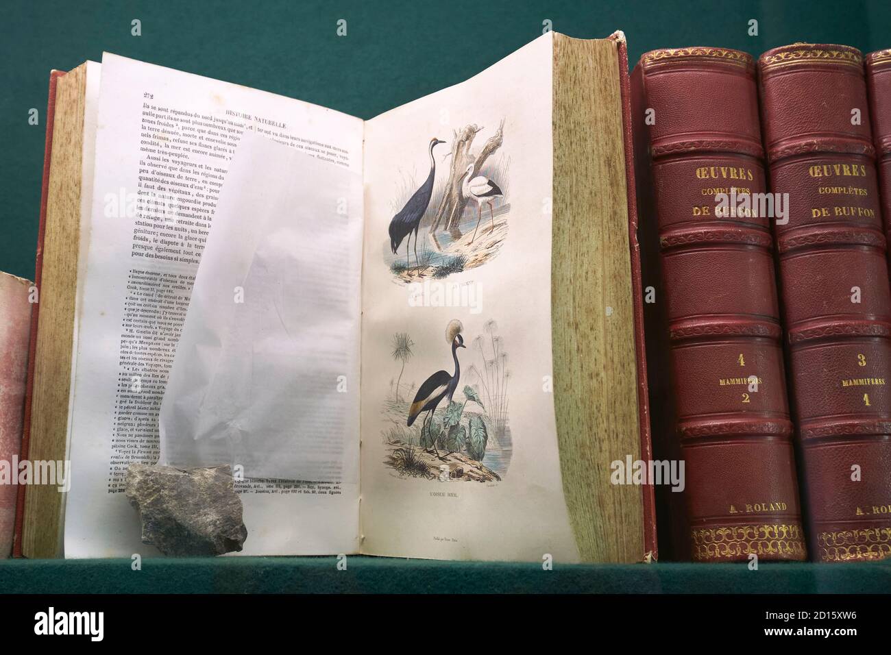 France, Cote d'Or, Buffon, the Grande Forge de Buffon, Natural history ...