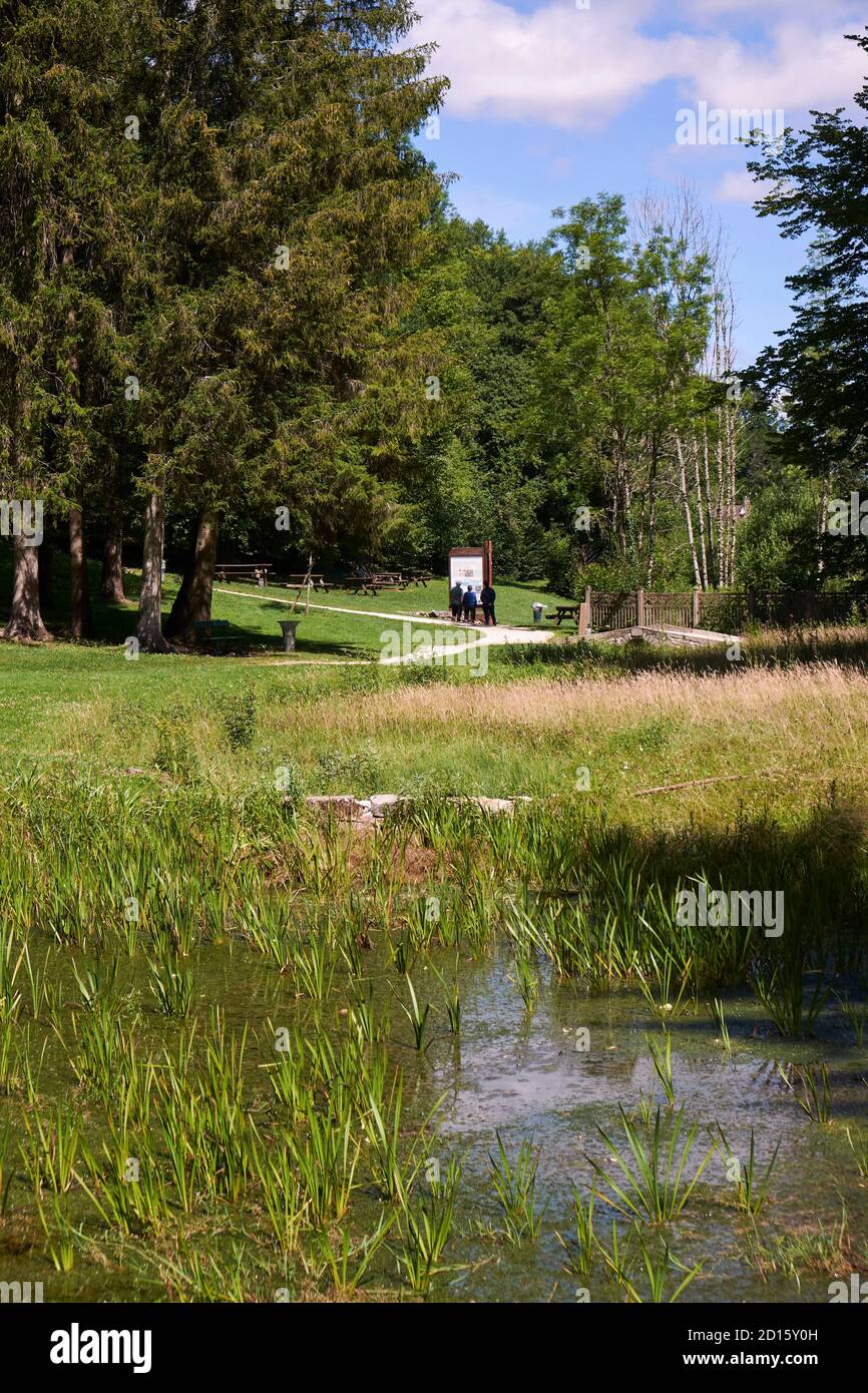 France, Cote d'Or, Source Seine, site of the sources of the Seine river ...