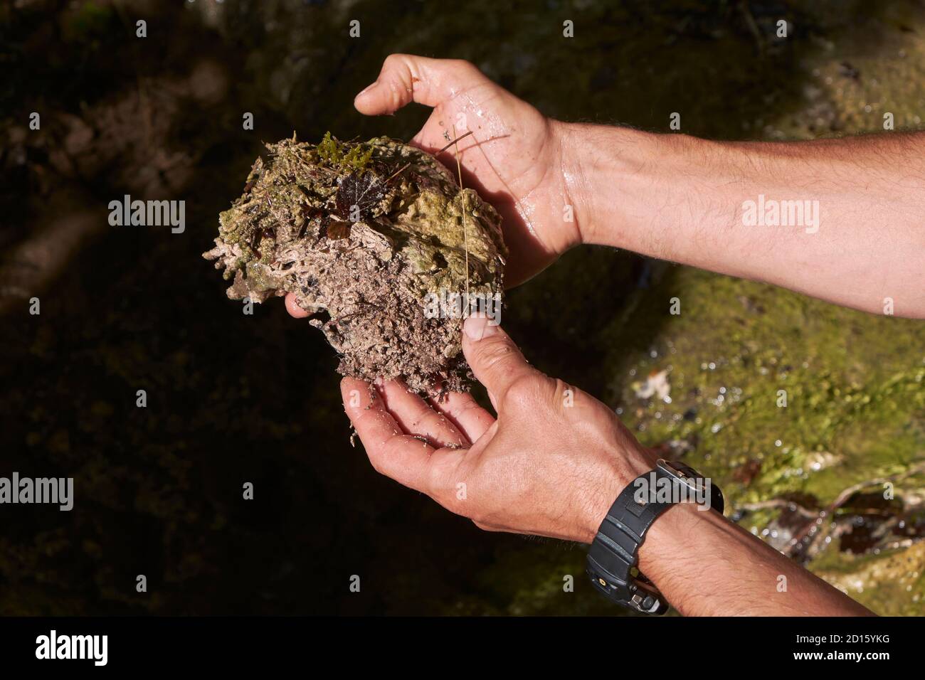 Limestone tuff deposit hi-res stock photography and images - Alamy