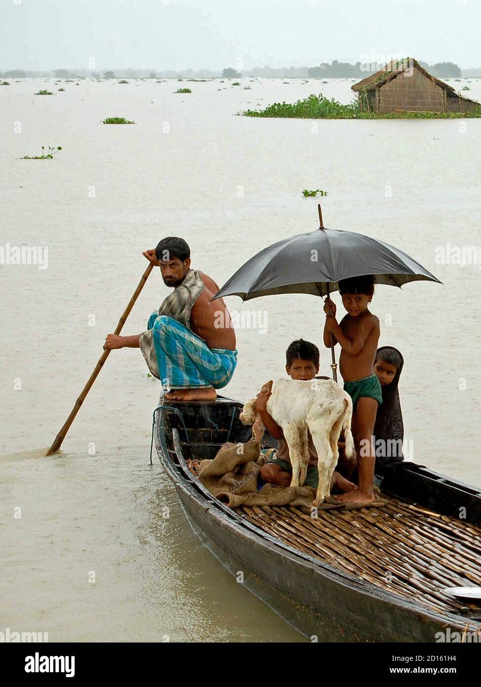 Snakes of assam hi-res stock photography and images - Alamy