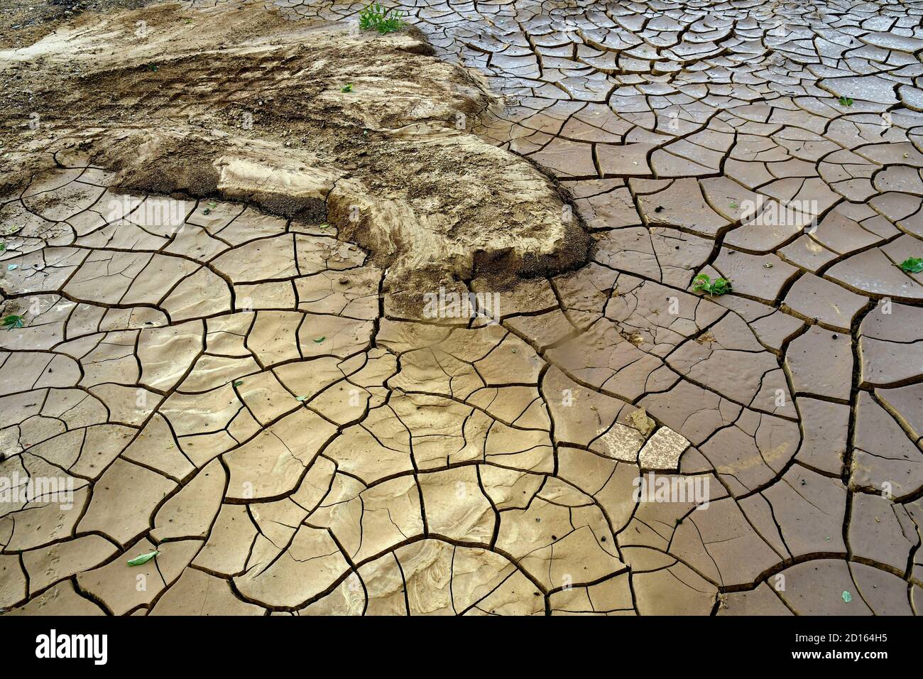 Dry pond hi-res stock photography and images - Alamy