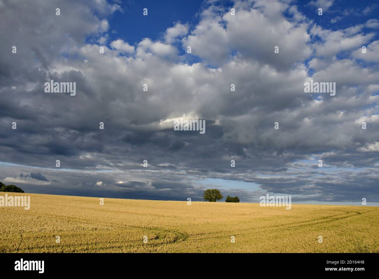 Cloudy sky summer hi-res stock photography and images - Alamy