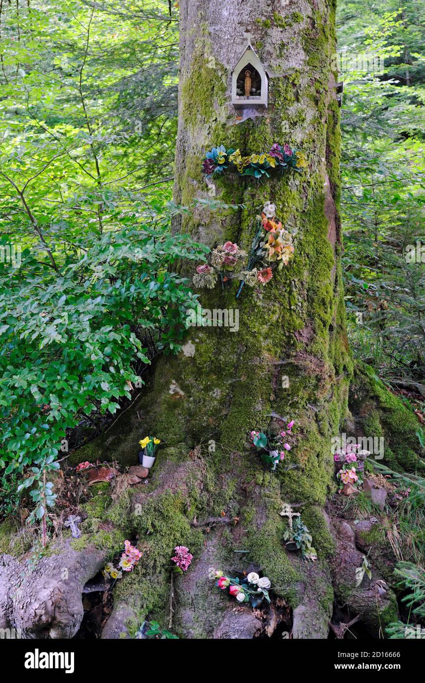 Votive niche hi-res stock photography and images - Alamy