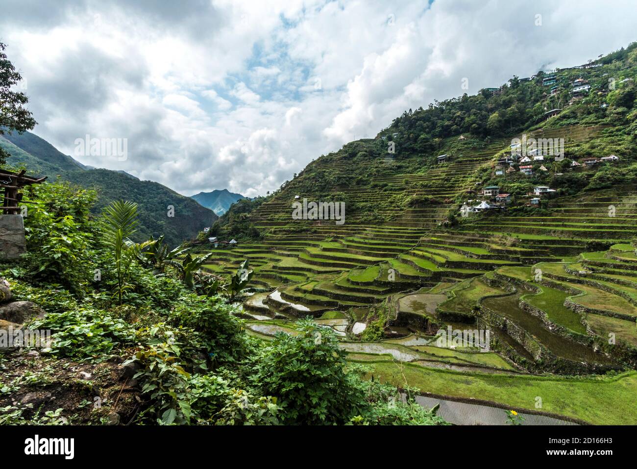 Banawe rice terraces hi-res stock photography and images - Alamy