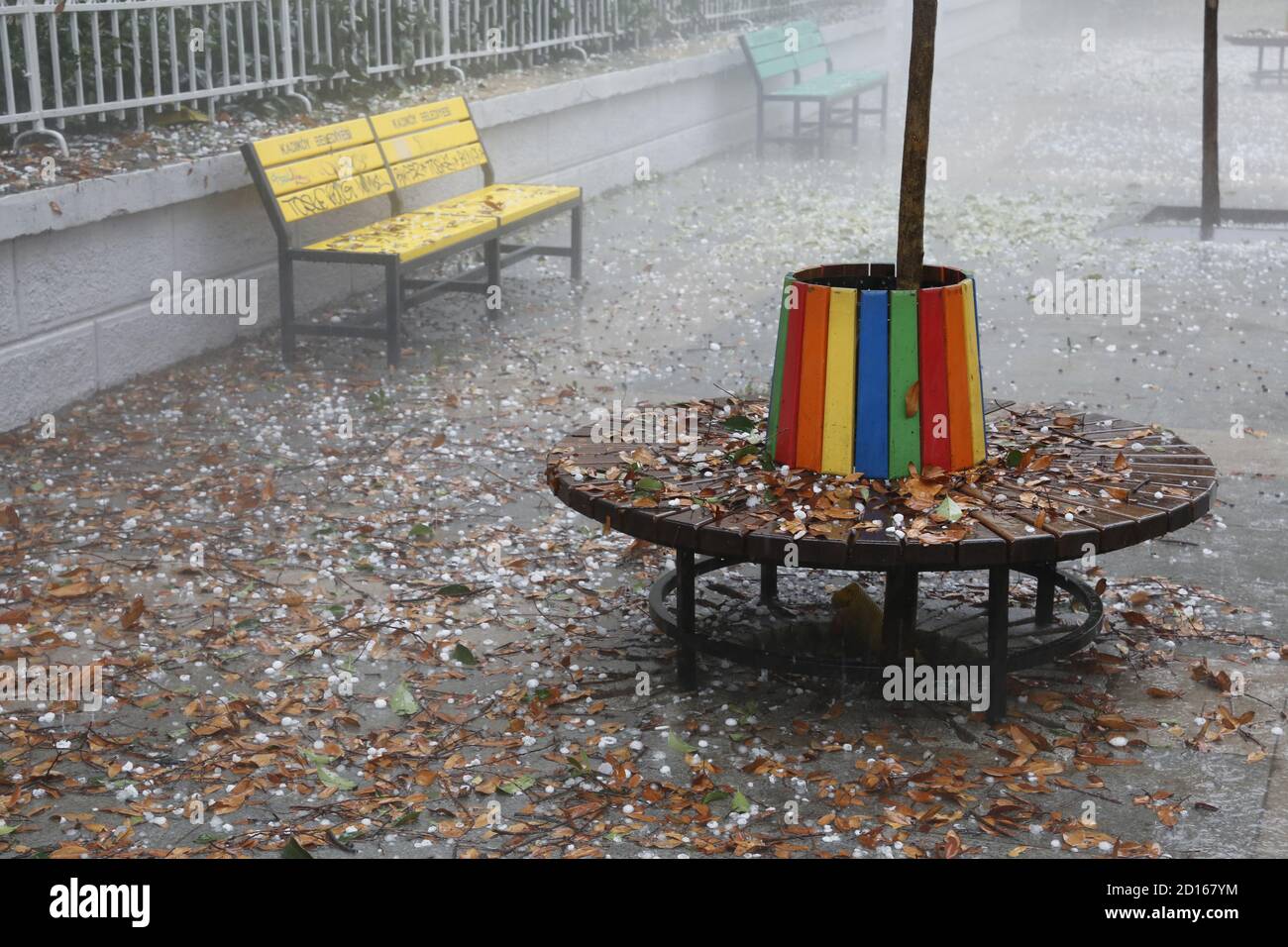 Leaves falling to the ground on a rainy day Stock Photo - Alamy