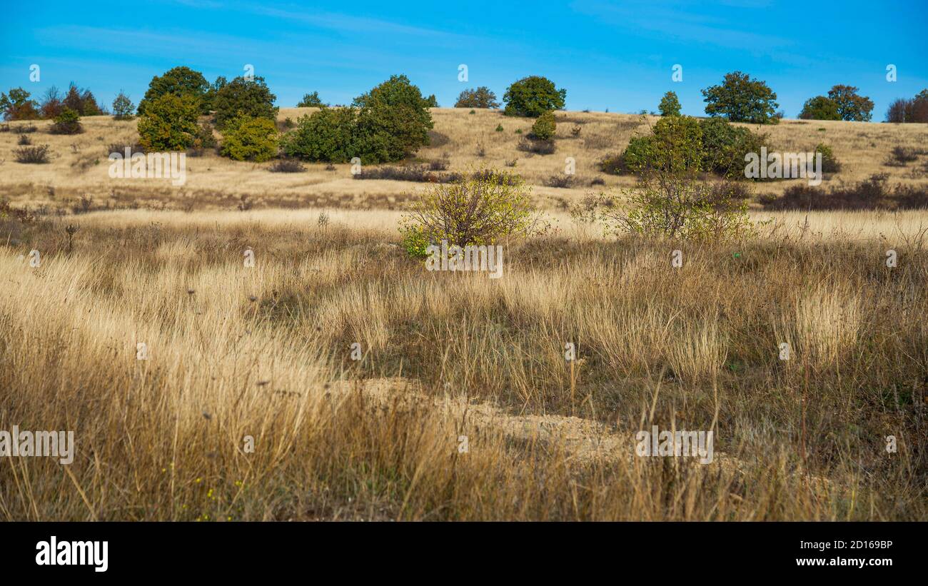 Warm autumn in the steppe Crimea Stock Photo - Alamy