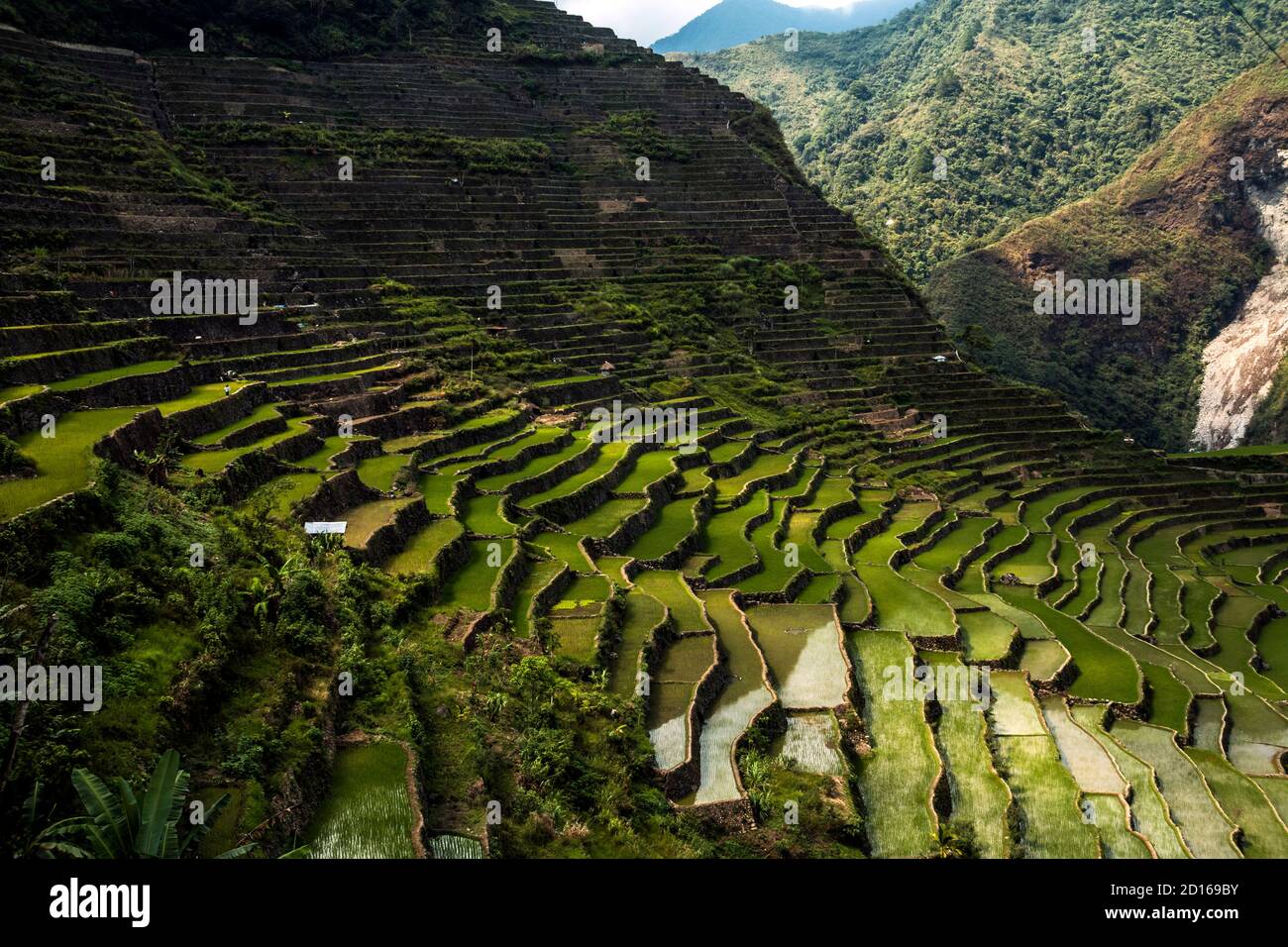 Baguio benguet hi-res stock photography and images - Alamy