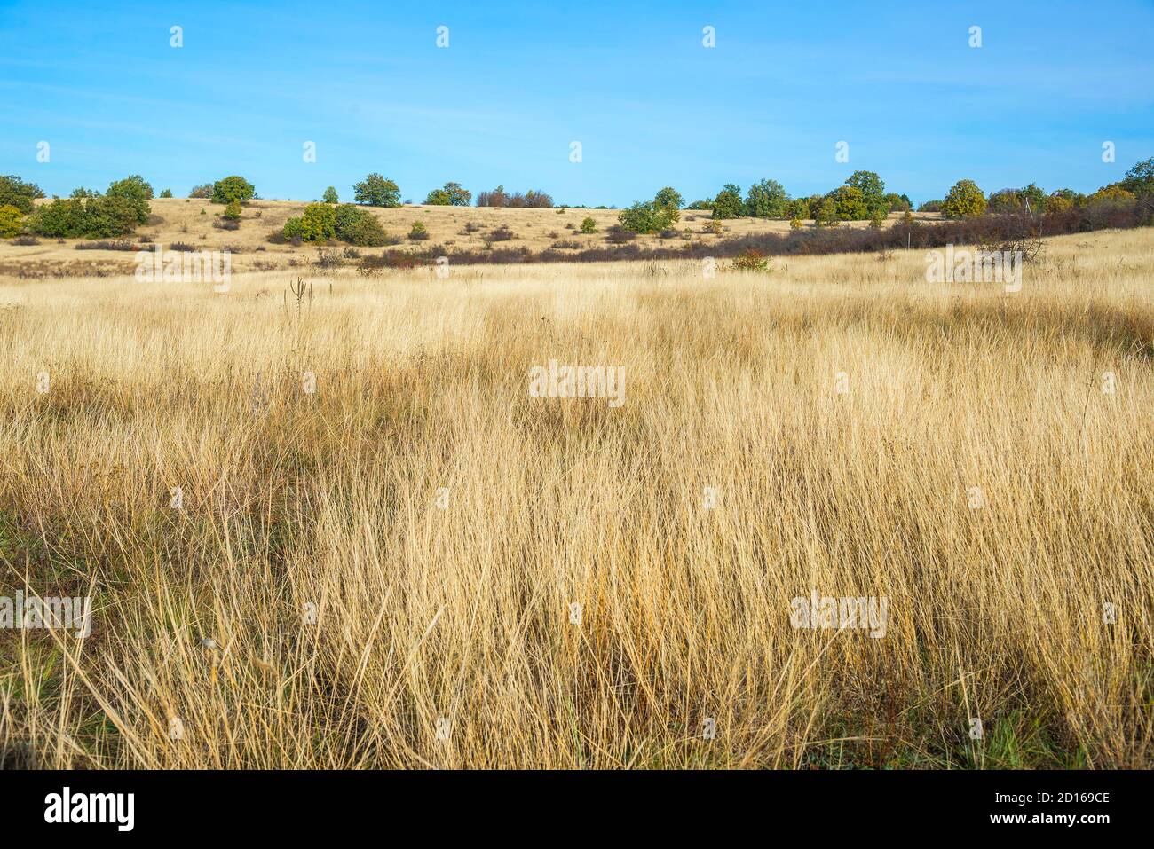 Warm autumn in the steppe Crimea Stock Photo - Alamy