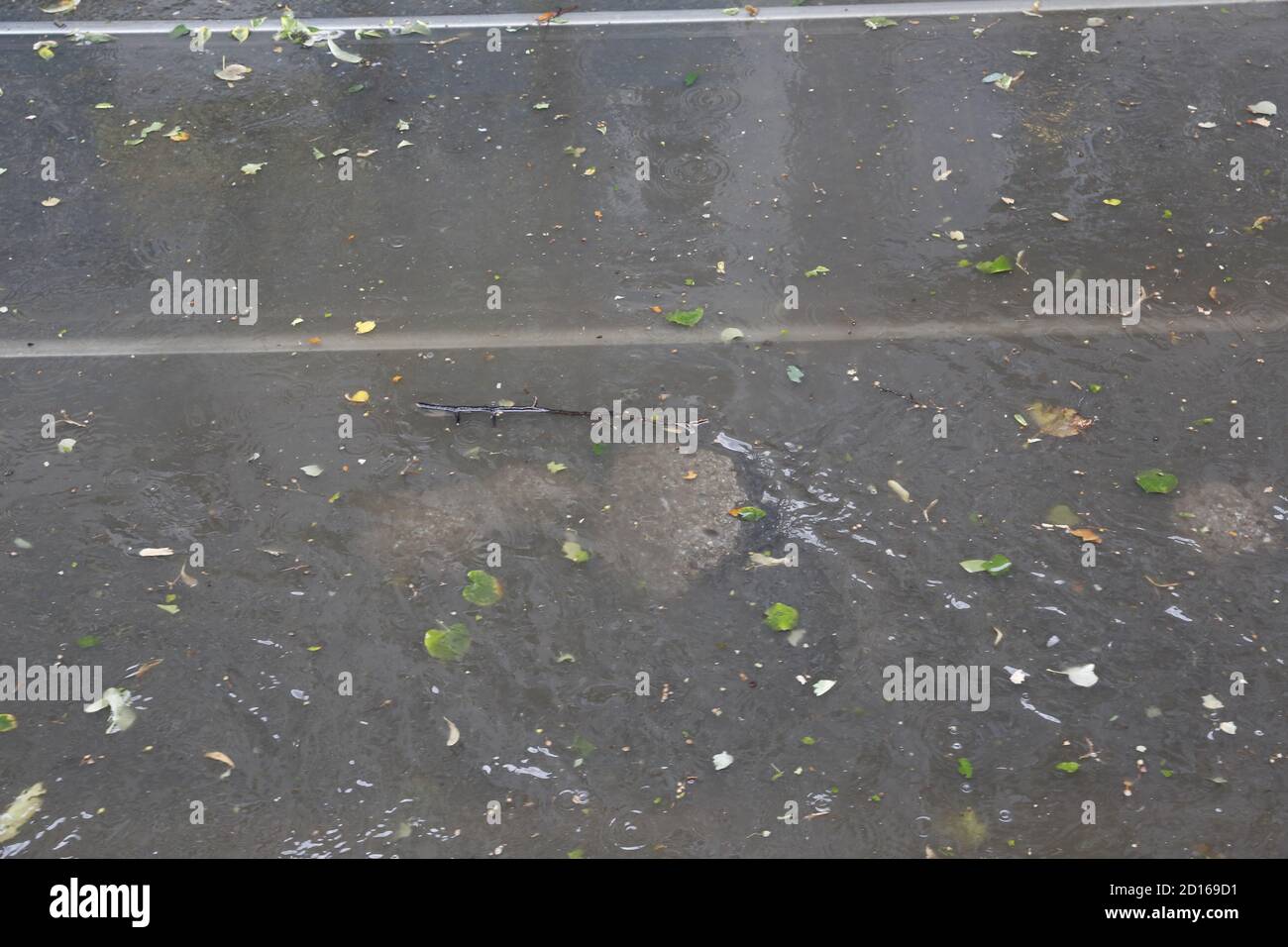 Close up raindrops falling on the ground on a rainy day Stock Photo - Alamy