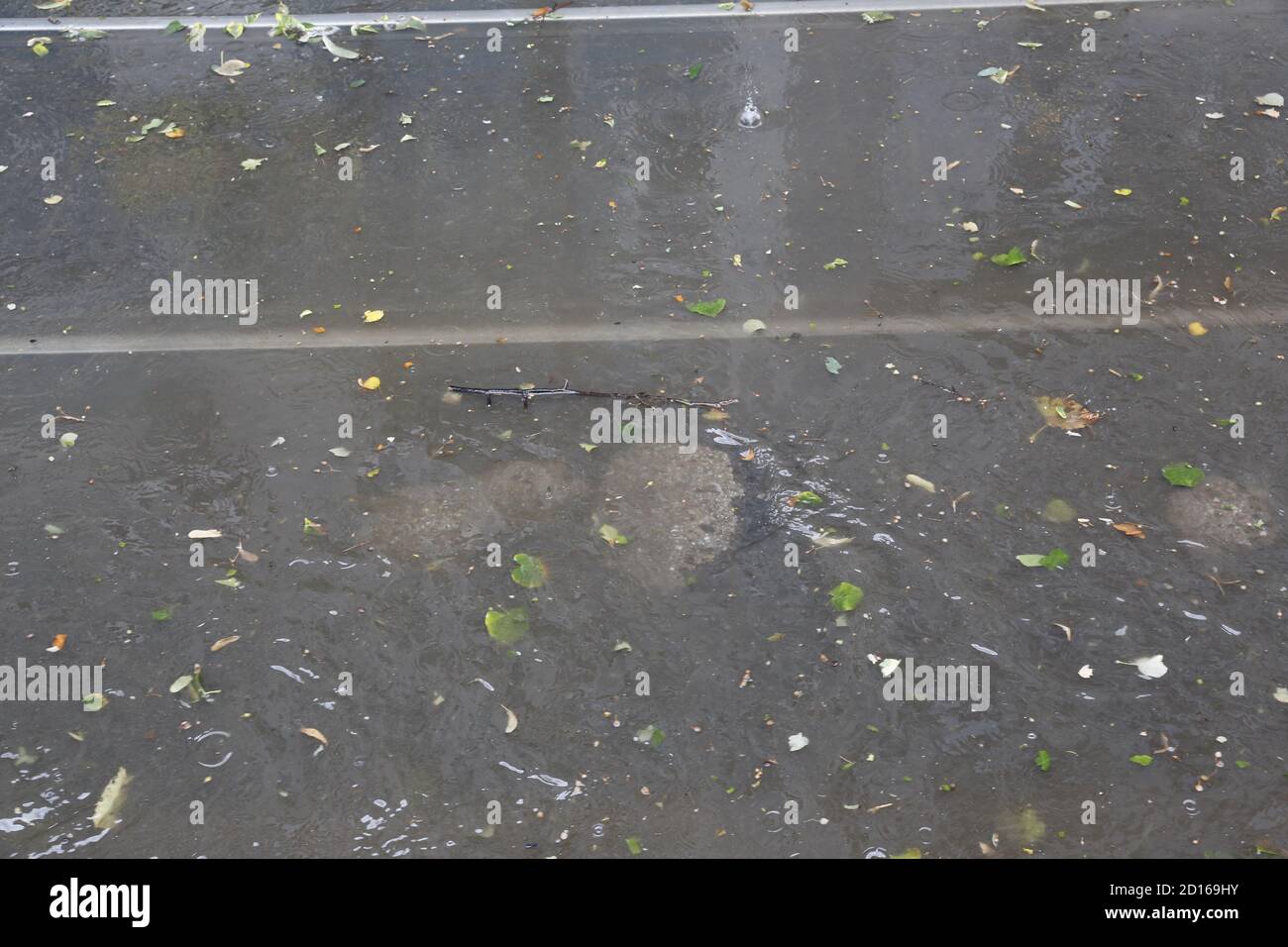 Close up raindrops falling on the ground on a rainy day Stock Photo - Alamy