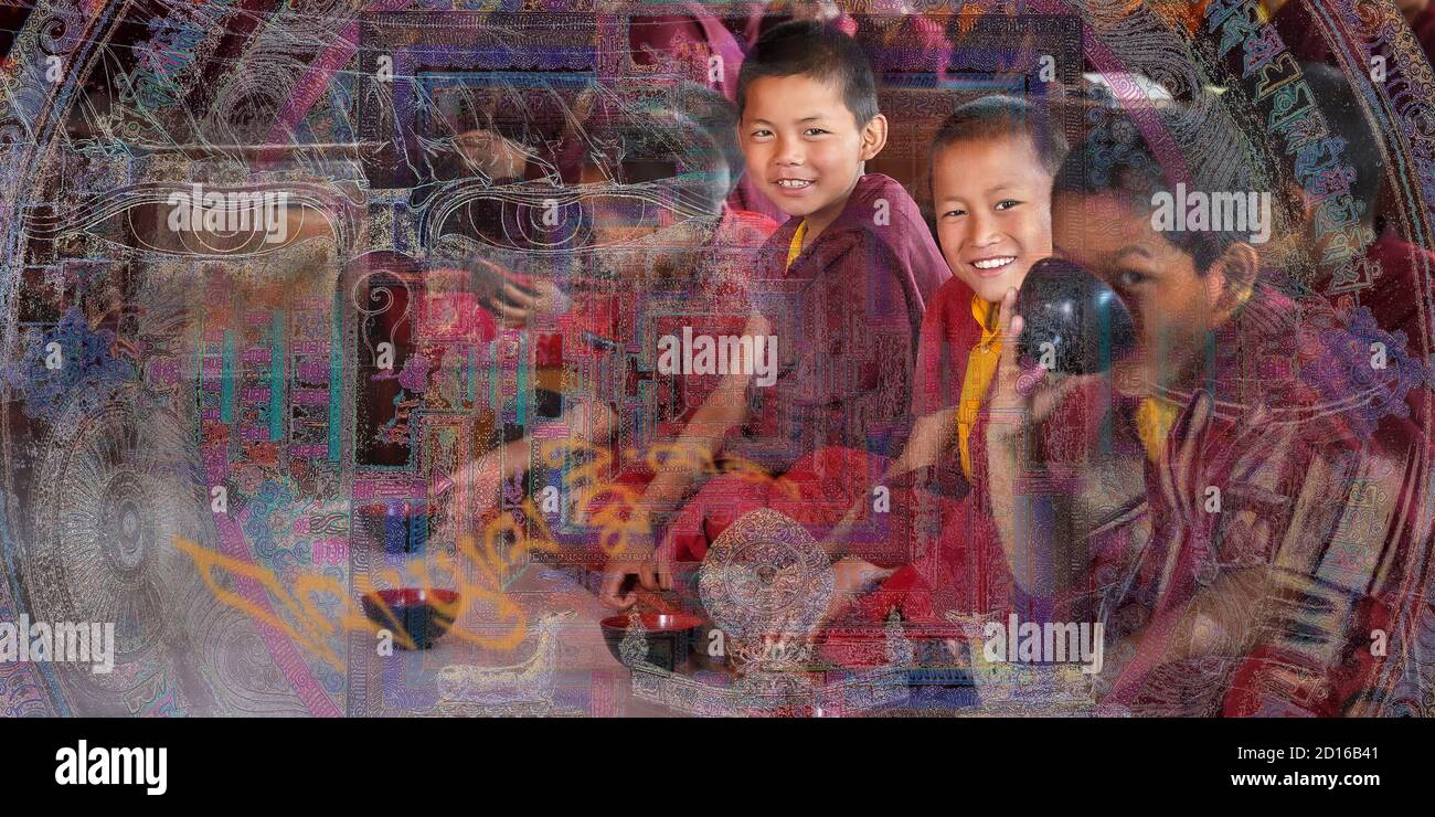 Nala hi-res stock photography and images - Alamy