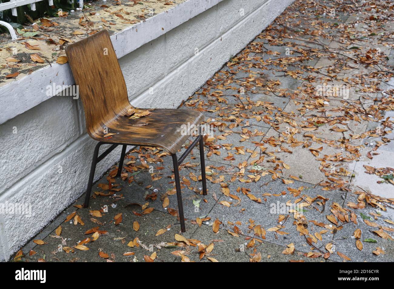 Wooden chair standing on leafy path Stock Photo - Alamy