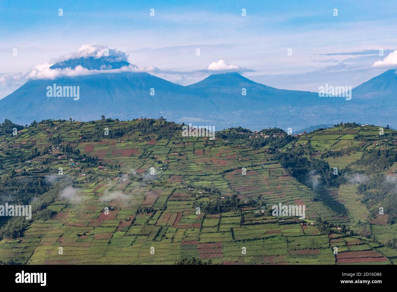 Uganda, Hills of Central Africa, Virunga Volcanoes in the background ...