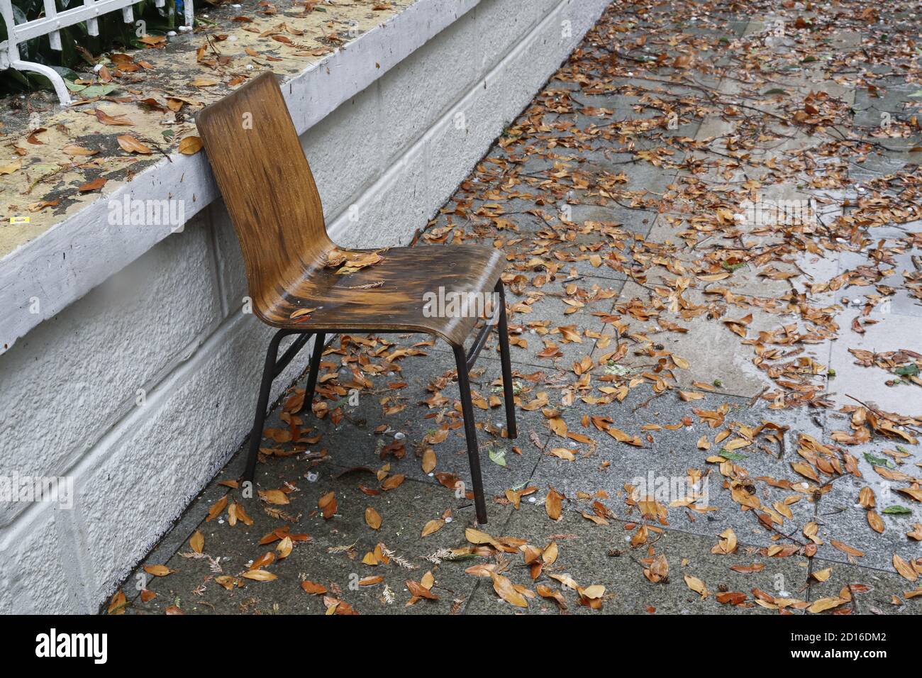 Wooden chair standing on leafy path Stock Photo - Alamy