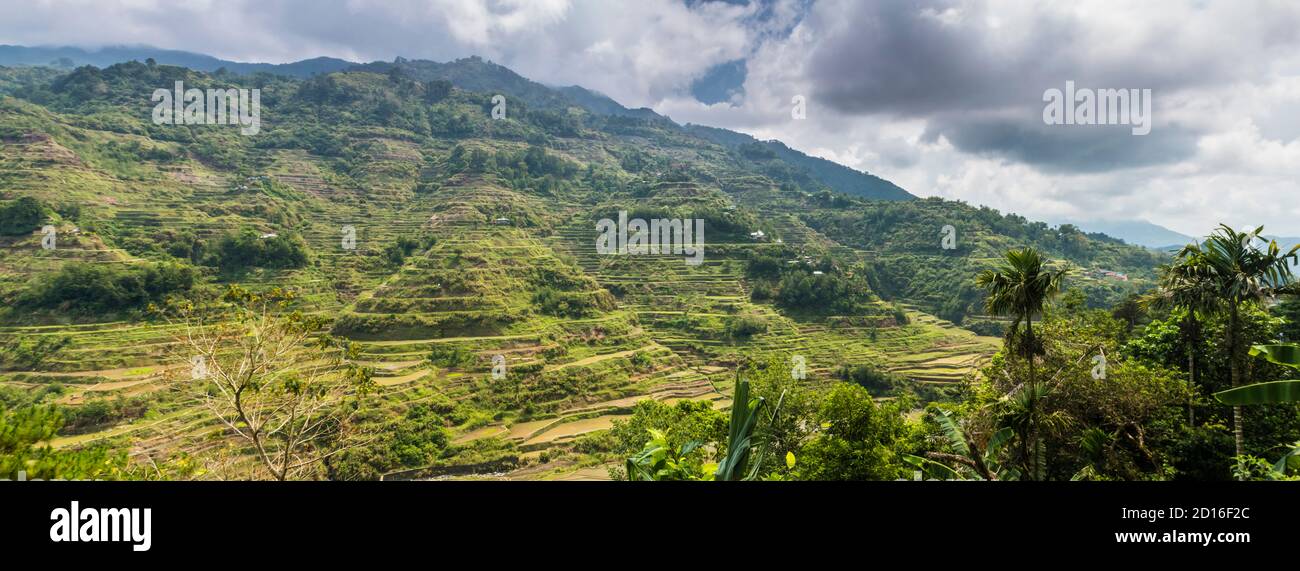images of Batad and Banaue rice terraces in the Philippines Stock Photo ...