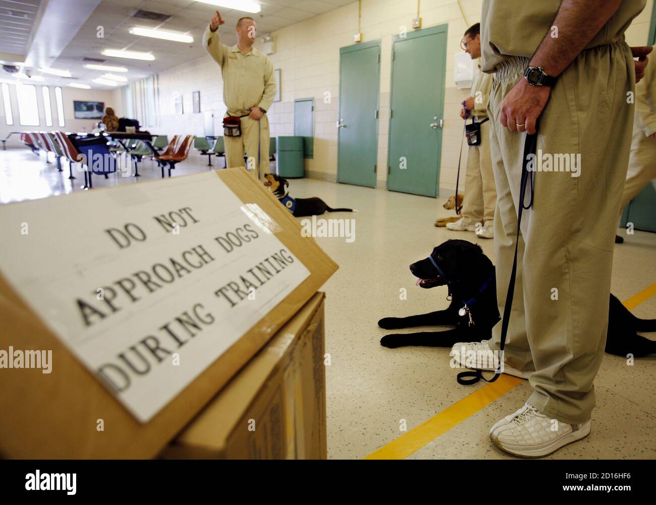 Prison train service dogs hi-res stock photography and images - Alamy