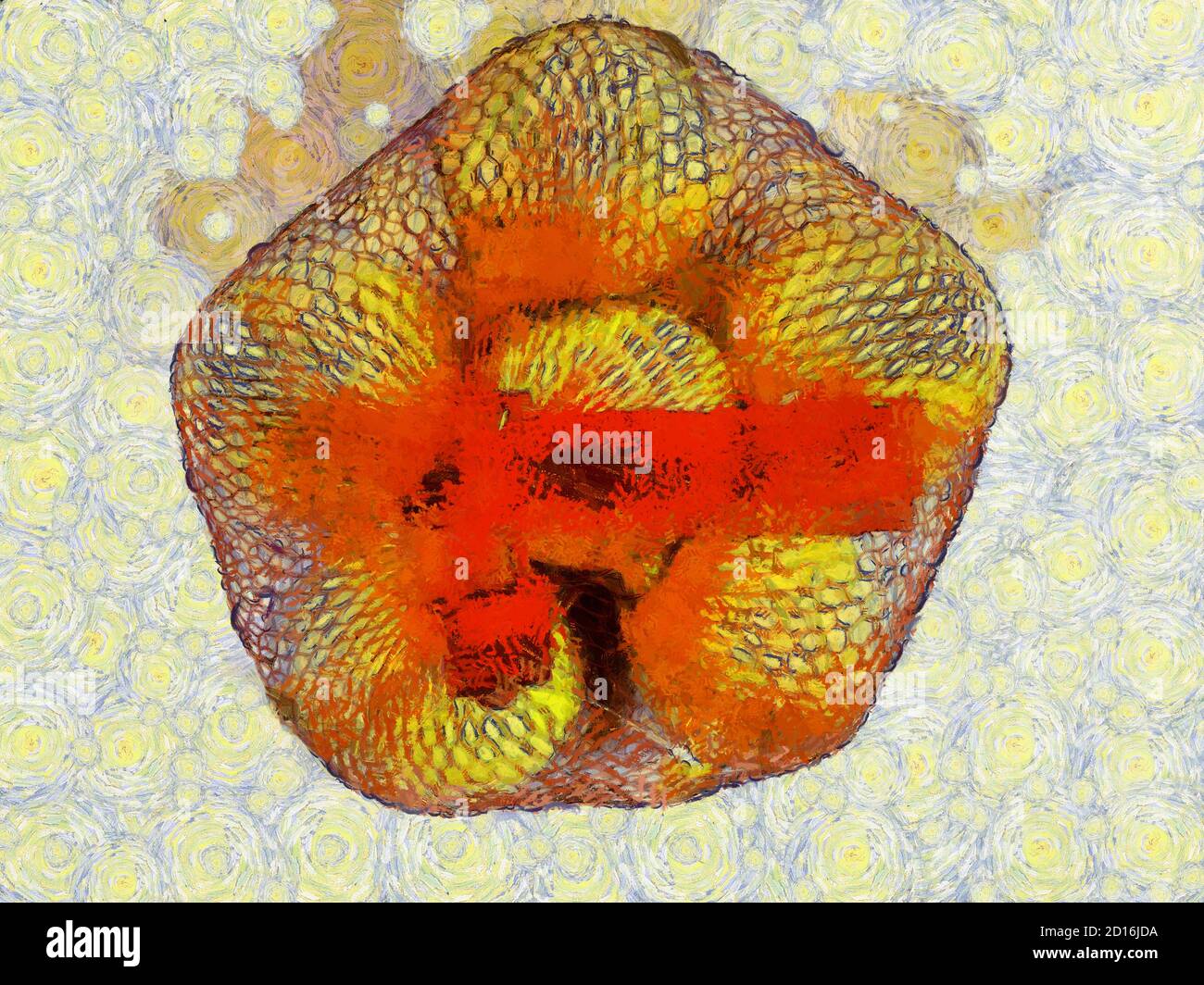 Onions in a mesh bag Illustrations creates ant style impressionis of ...