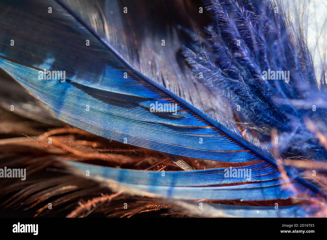 Full frame macro art abstract still life background of natural blue ...