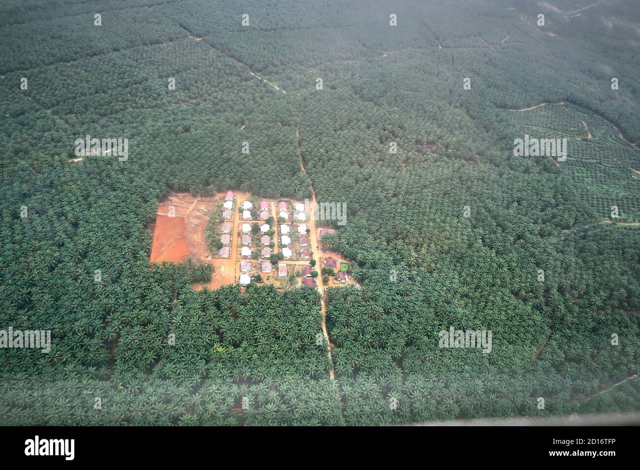 Aerial palm oil deforestation hi-res stock photography and images - Alamy