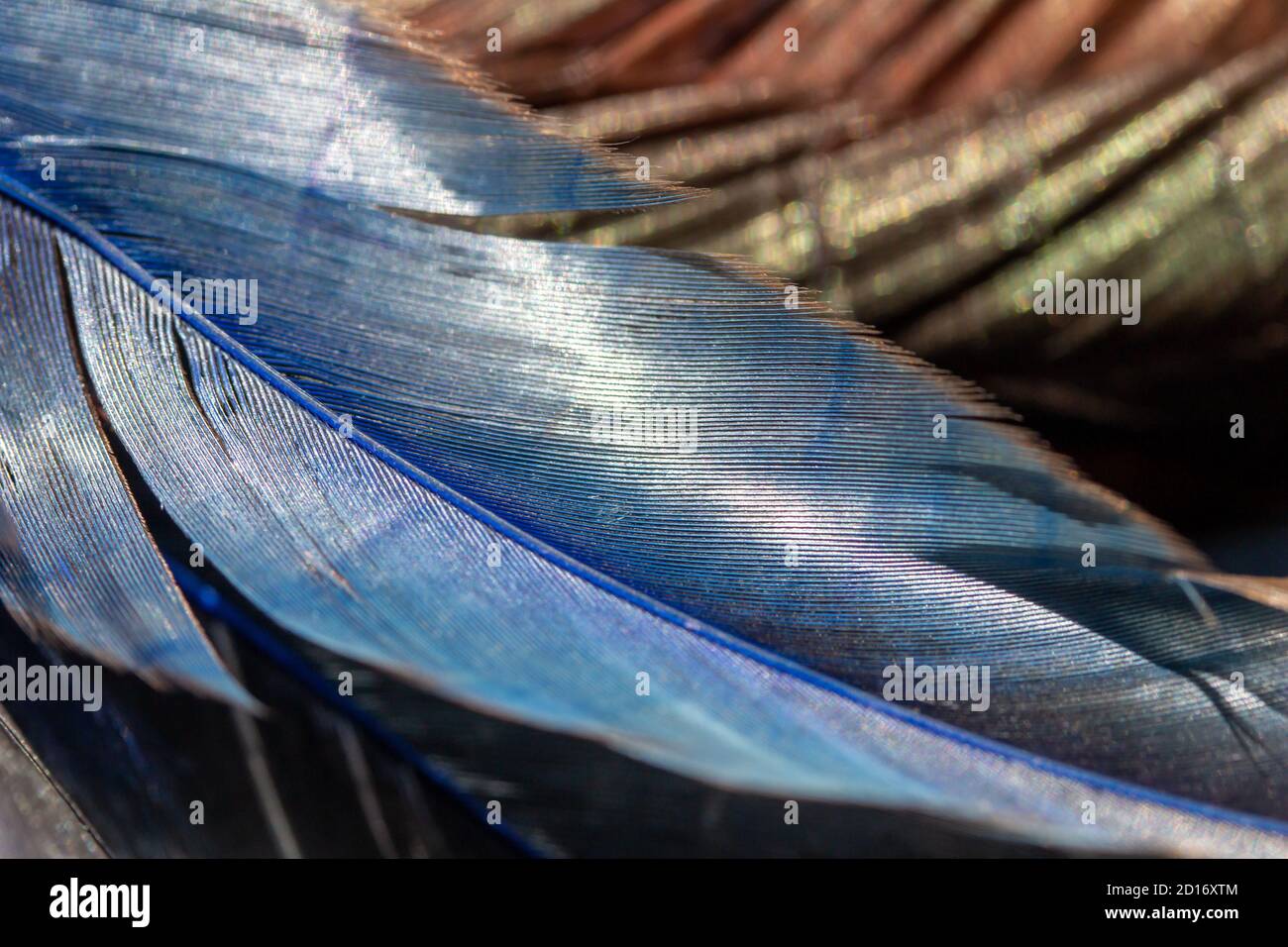 Full frame macro art abstract still life background of natural blue ...