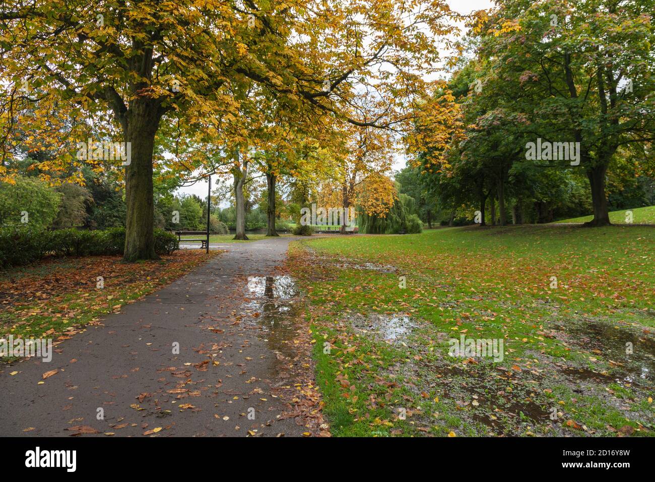 The trees showing their Autumn colours in the South Park, Darlington ...