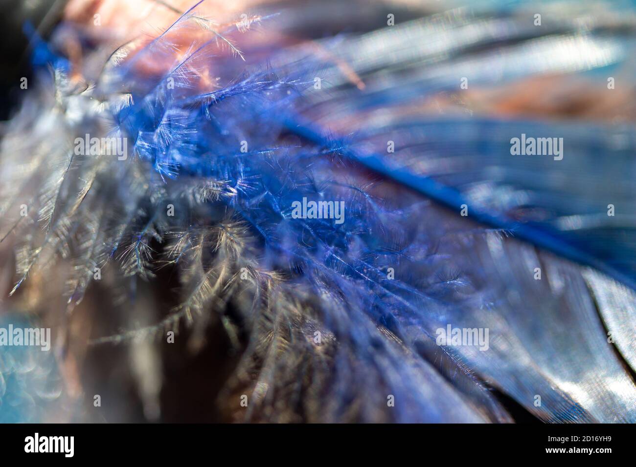 Full frame macro art abstract still life background of natural blue ...