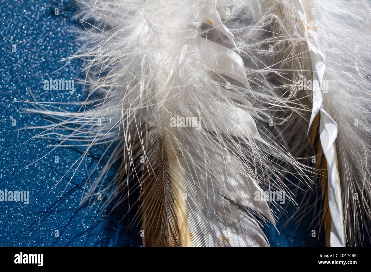 Full frame macro art abstract still life background of natural blue ...